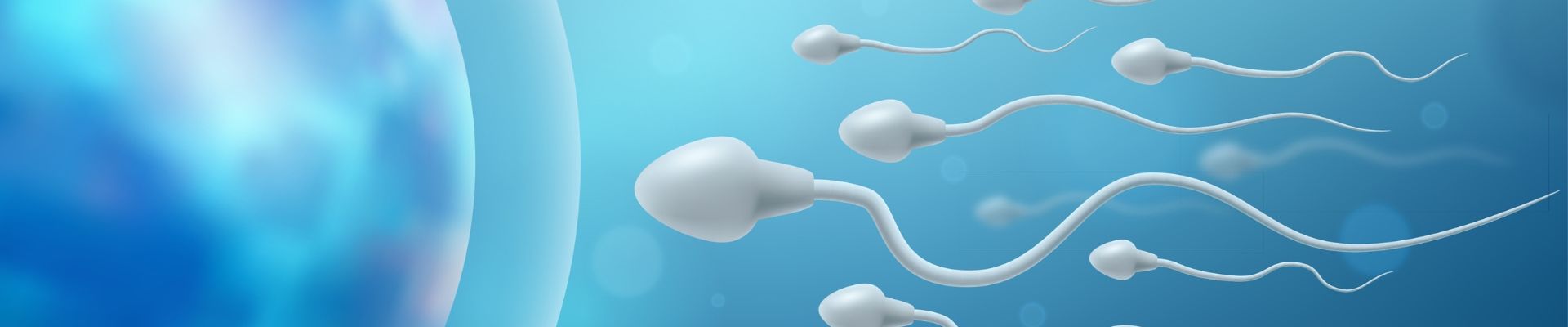 Σπερμοδιάγραμμα | Όλη η διαδικασία